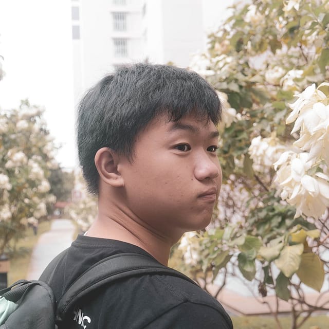 Issue Teams | PFP Pulse