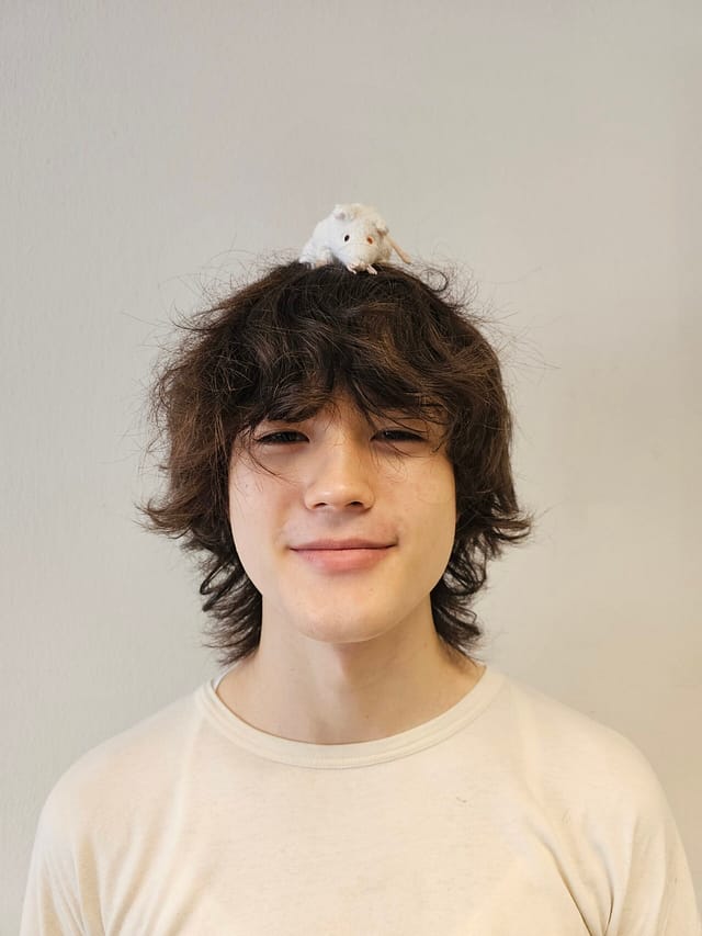 Issue Teams | PFP Pulse