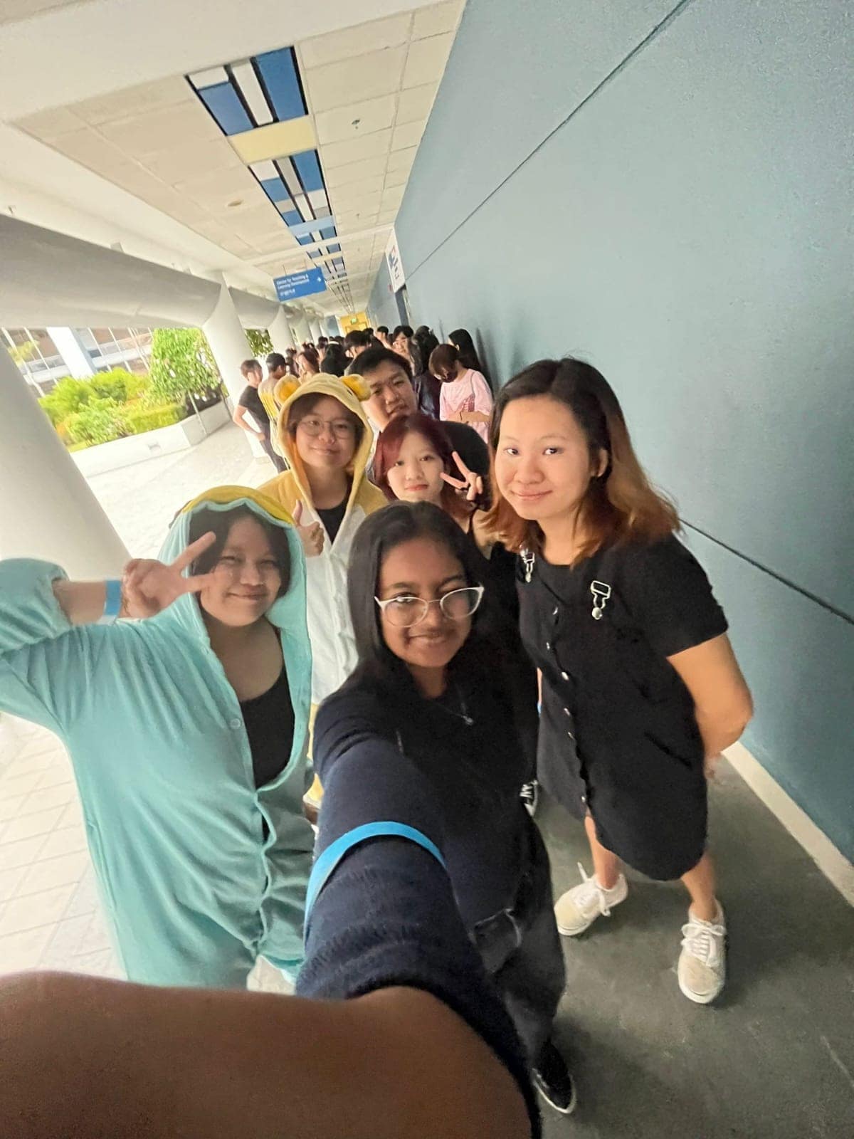 Exploring PFP's Interconnected Community | PFP Pulse